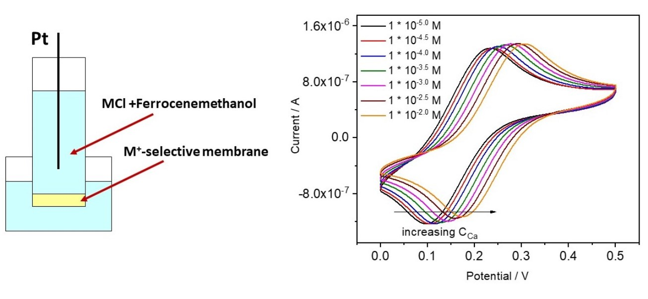Membranes | Free Full-Text | Voltammetric Ion Sensing with Ionophore ...