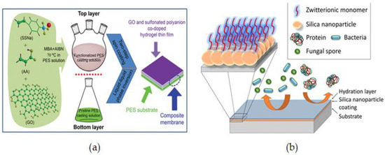 Impact of Membrane Modification and Surface Immobilization Techniques ...