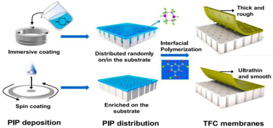 Impact of Membrane Modification and Surface Immobilization Techniques ...