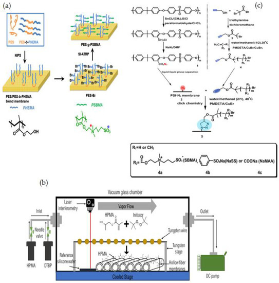 Impact of Membrane Modification and Surface Immobilization Techniques ...