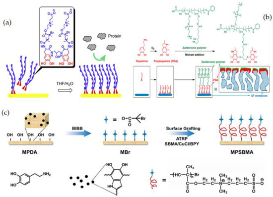 Impact of Membrane Modification and Surface Immobilization Techniques ...