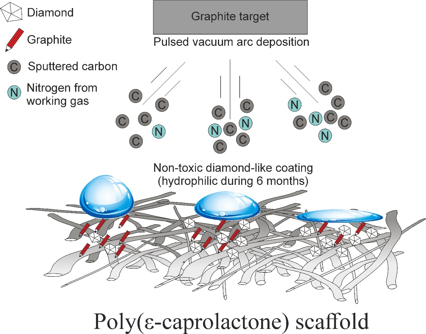 Membranes | Free Full-Text | Pulsed Vacuum Arc Deposition of Nitrogen-Doped Diamond-like ...