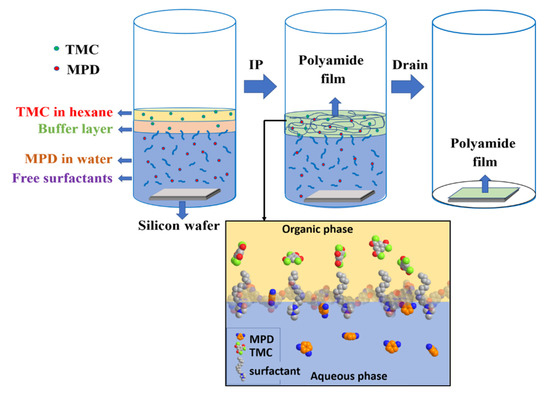 Membranes | Free Full-Text | Ionic Liquid-Mediated Interfacial Polymerization for Fabrication of ...