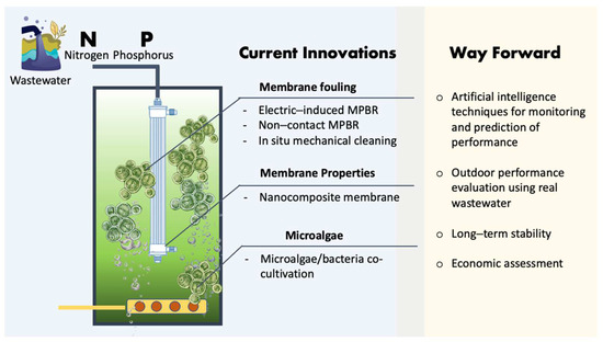 Membranes | Free Full-Text | Microalgae-Enabled Wastewater Remediation and Nutrient Recovery ...