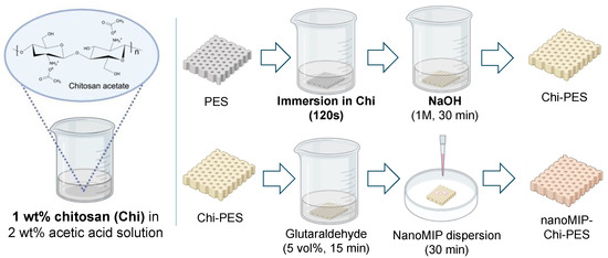 Bioselective PES Membranes Based on Chitosan Functionalization and ...