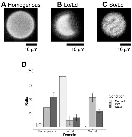 Charged Lipids Influence Phase Separation in Cell-Sized Liposomes ...