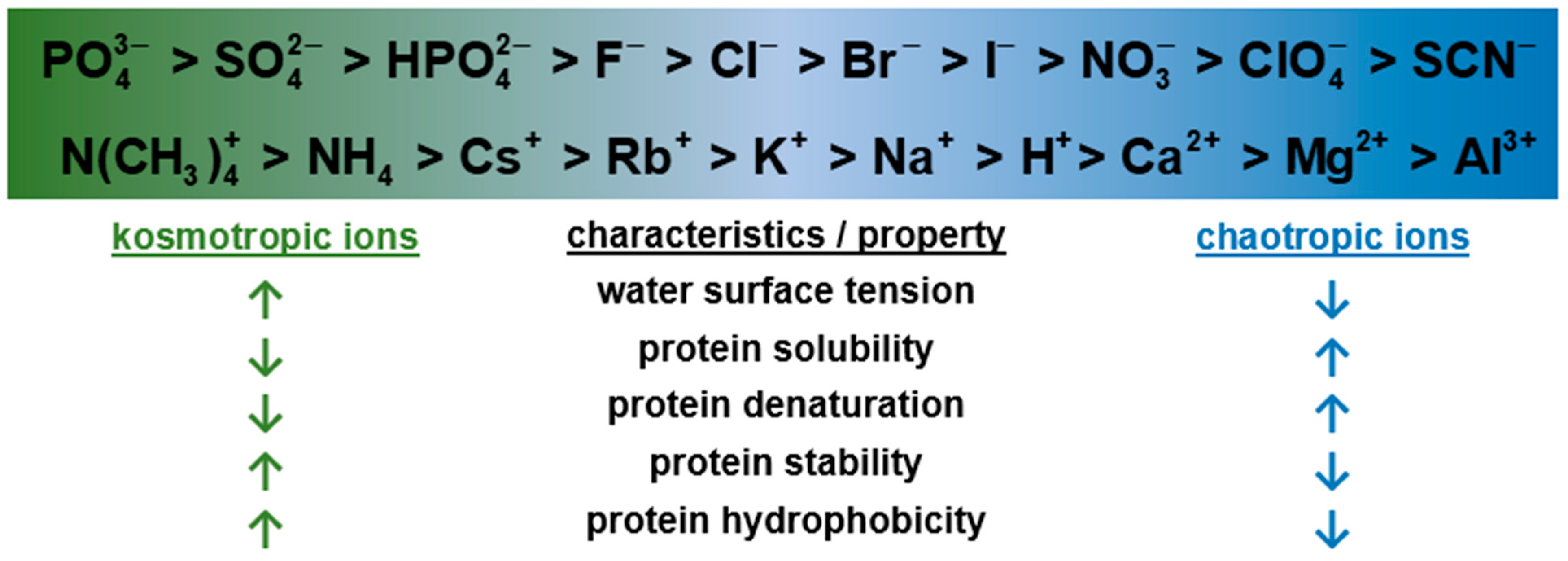 Adsorption Performance of a Multimodal Anion-Exchange Chromatography ...