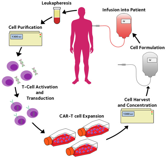 Membrane Applications in Autologous Cell Therapy