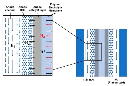 Membranes | Free Full-Text | Minimizing Specific Energy Consumption of ...