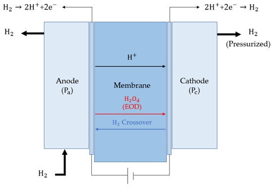 Minimizing Specific Energy Consumption of Electrochemical Hydrogen ...