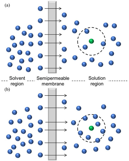 Solvent–Solute Interaction Effect on Permeation Flux through Forward ...
