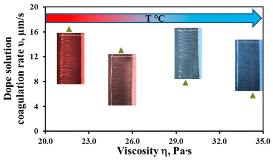 Membranes | Free Full-Text | Spinning of Polysulfone Hollow Fiber ...