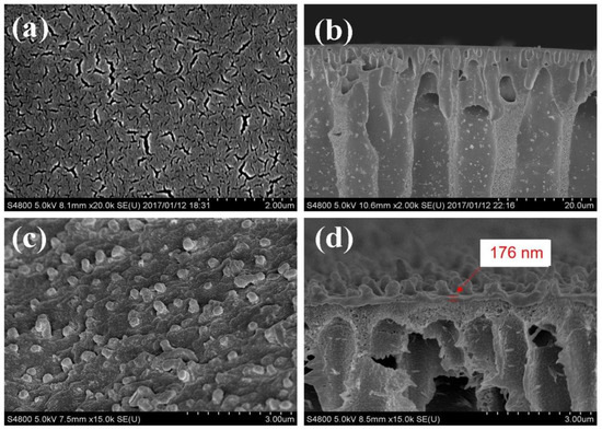 Optimization of Preparation Conditions of Poly(m-phenylene ...