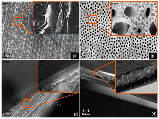 Ionic Liquids-Polymer of Intrinsic Microporosity (PIMs) Blend Membranes ...