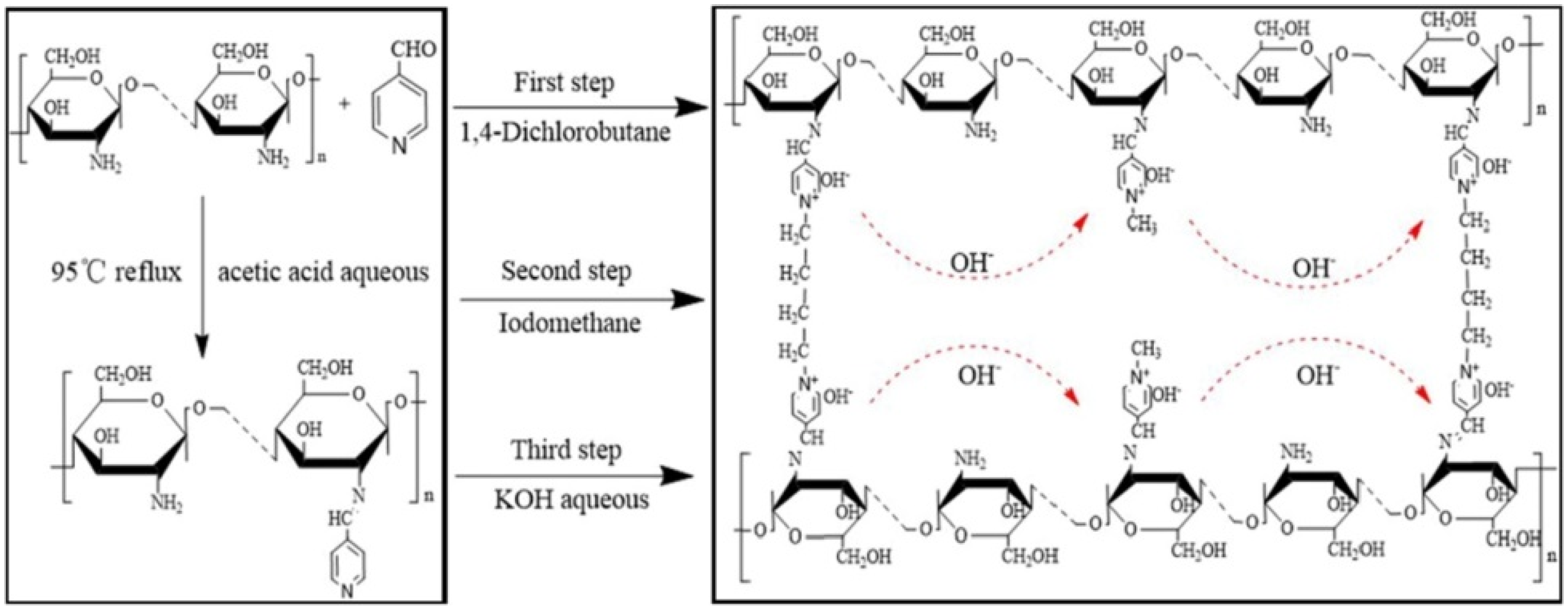 A Review of Recent Chitosan Anion Exchange Membranes for Polymer ...