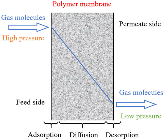 A Review on the Morphology and Material Properties of the Gas ...