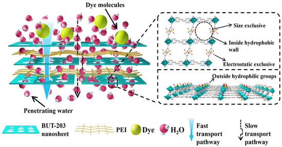 An Overview of the Modification Strategies in Developing Antifouling Nanofiltration Membranes