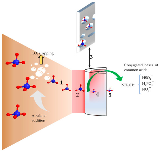 Membrane Technologies for Nitrogen Recovery from Waste Streams ...