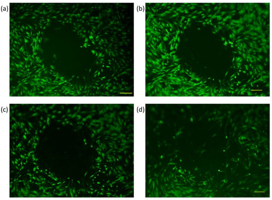 A Novel In Vitro Wound Healing Assay Using Free-Standing, Ultra-Thin ...