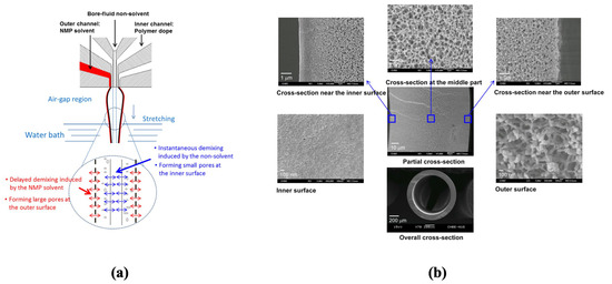 Design Strategies for Forward Osmosis Membrane Substrates with Low ...