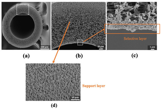 Design Strategies for Forward Osmosis Membrane Substrates with Low ...