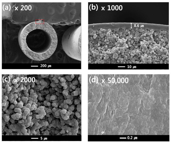 Membranes | Free Full-Text | Use of Nucleating Agent NA11 in the ...