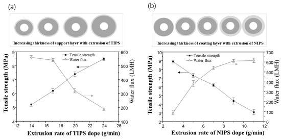Membranes | Free Full-Text | Use of Nucleating Agent NA11 in the ...