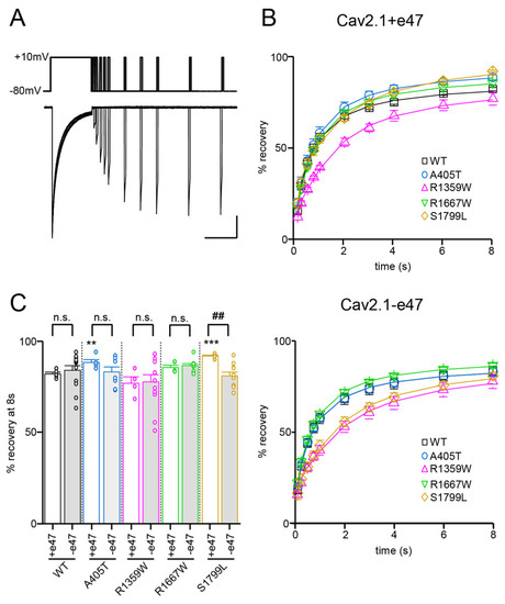 Functional Characterization of Four Known Cav2.1 Variants Associated ...