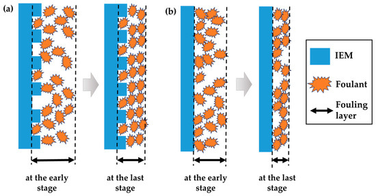 Fouling and Mitigation Behavior of Foulants on Ion Exchange Membranes ...