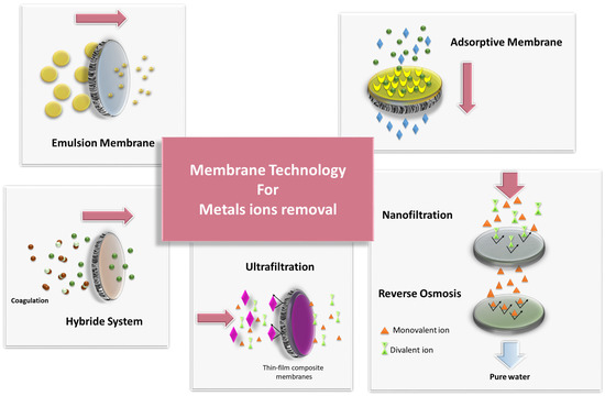 Recovery of Metals from Wastewater—State-of-the-Art Solutions with the ...