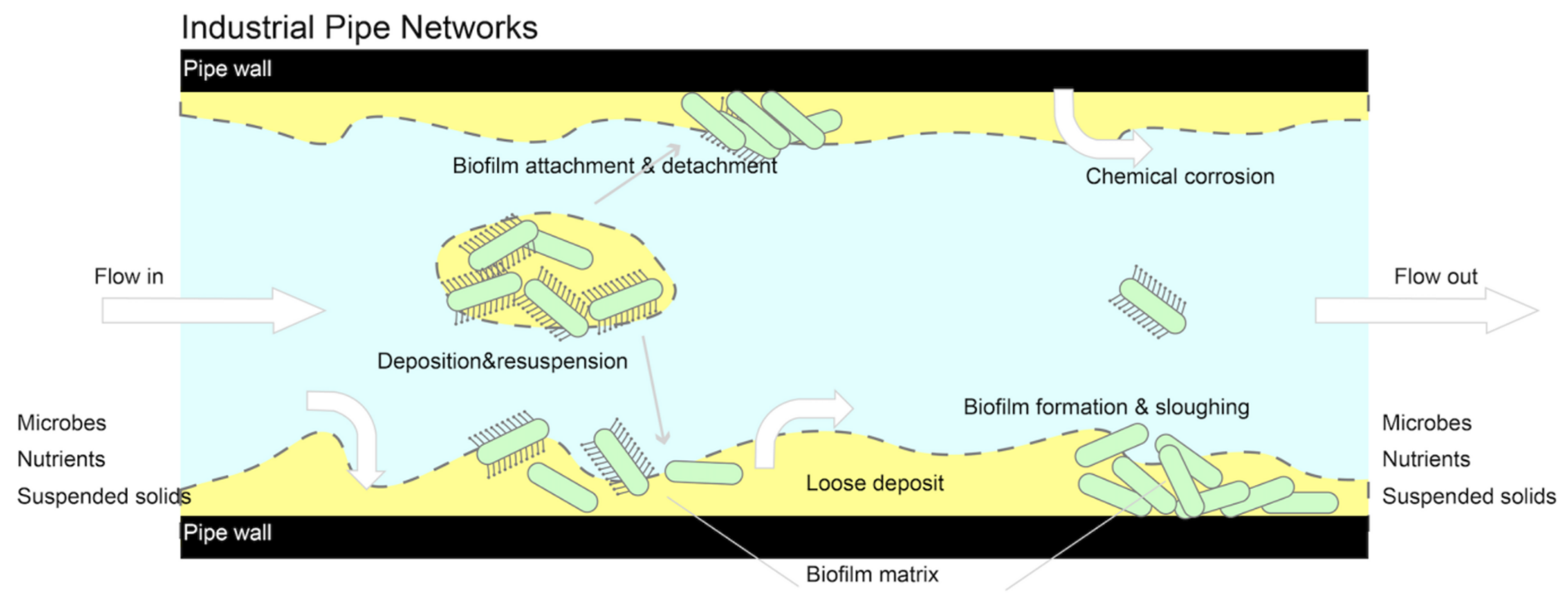 Mini-Review of Biofilm Interactions with Surface Materials in ...