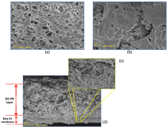 Modification of Cellulose Acetate Microfiltration Membranes Using ...