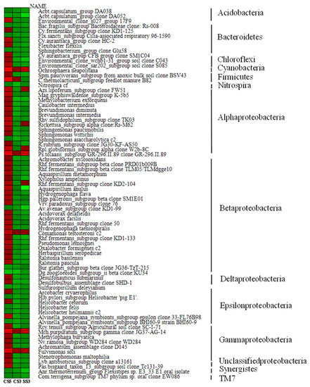 High-Density Microarray Analysis of Microbial Community Structures in Membrane Bioreactor at ...