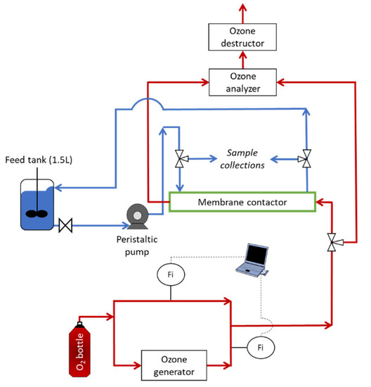 Ozone Diffusion through a Hollow Fiber Membrane Contactor for ...