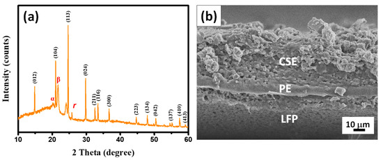 Sodium Super Ionic Conductor-Type Hybrid Electrolytes for High ...