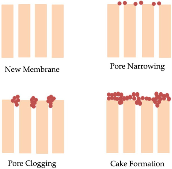 Prolonging the Life Span of Membrane in Submerged MBR by the ...