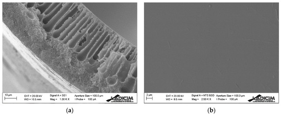 Thin-Film Composite Matrimid-Based Hollow Fiber Membranes for Oxygen ...