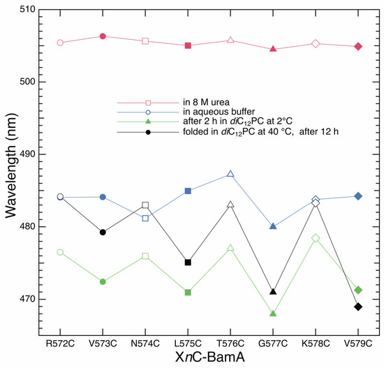 The Formation of β-Strand Nine (β9) in the Folding and Insertion of ...