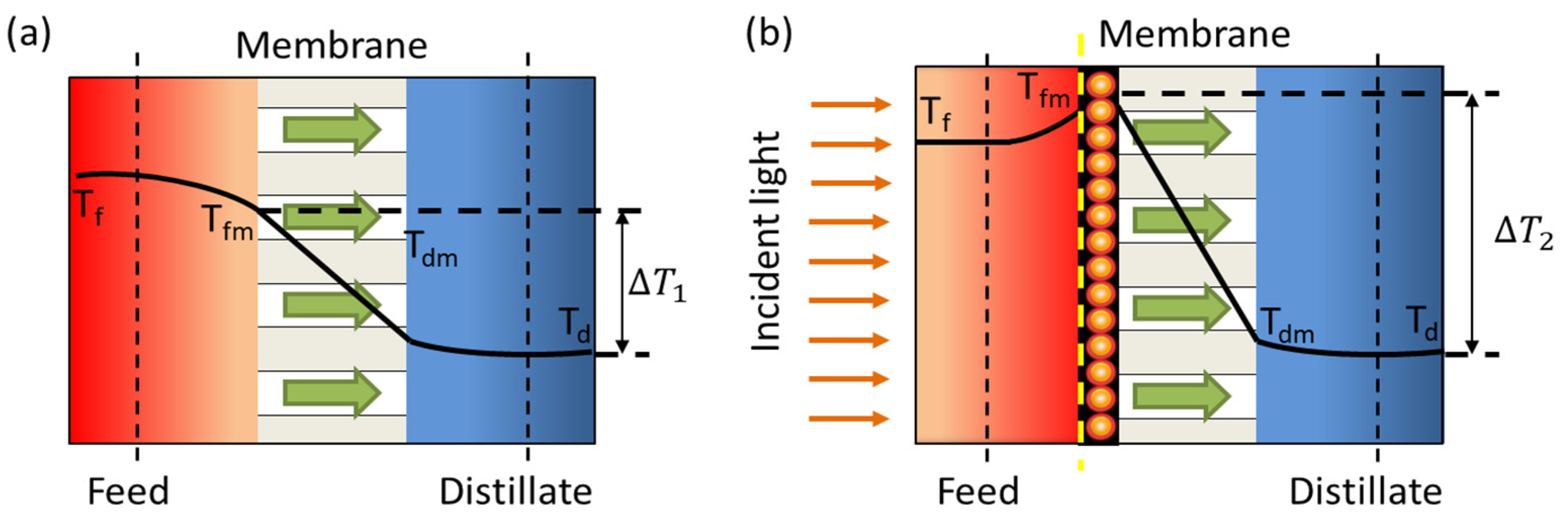 Plasmonic Phenomena in Membrane Distillation
