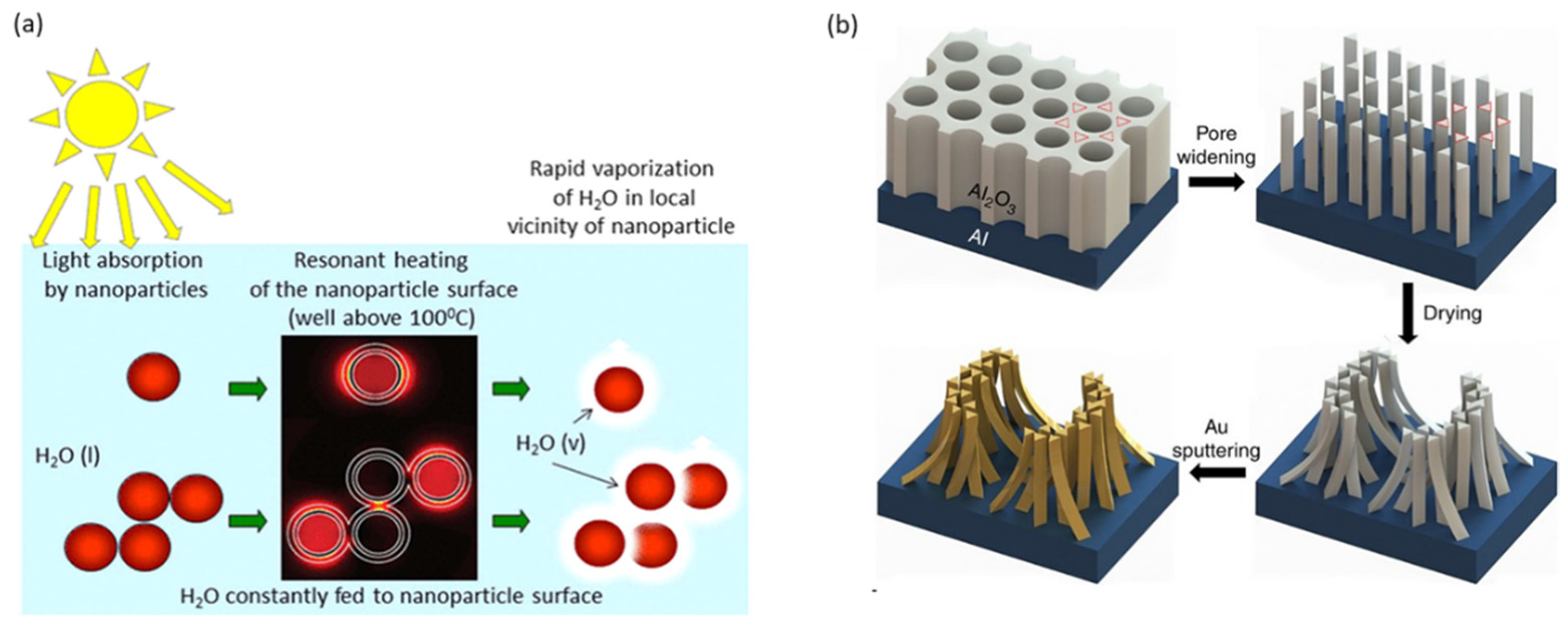 Plasmonic Phenomena in Membrane Distillation
