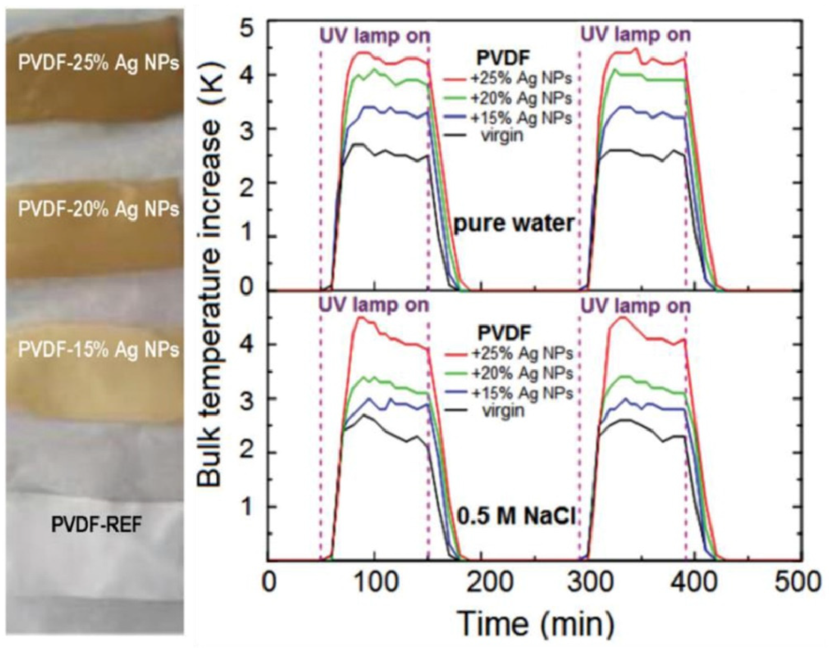 Plasmonic Phenomena in Membrane Distillation