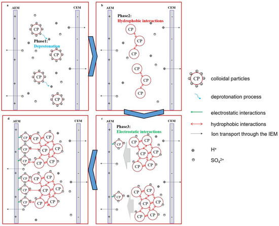 Electrodialysis Deacidification of Acid Hydrolysate in Hemicellulose ...