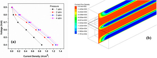 Influence of Operating and Electrochemical Parameters on PEMFC Performance: A Simulation Study