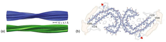 Recent Advances in Molecular Dynamics Simulations of Tau Fibrils and ...