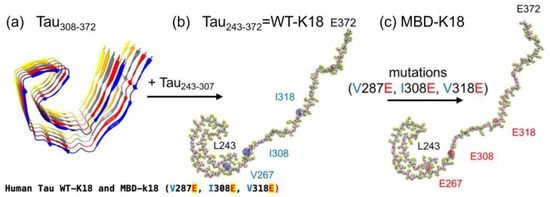 Recent Advances in Molecular Dynamics Simulations of Tau Fibrils and ...