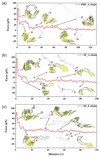 Recent Advances in Molecular Dynamics Simulations of Tau Fibrils and ...