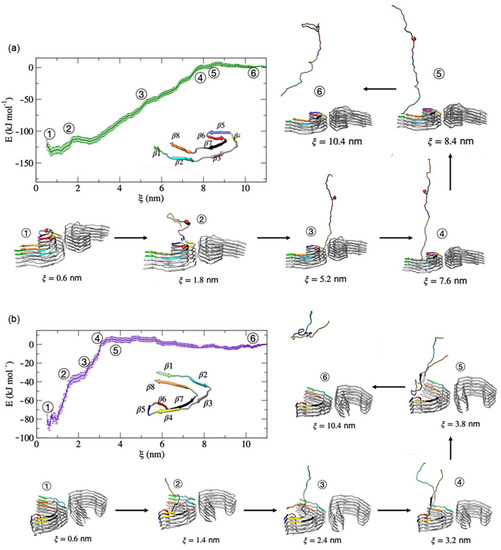 Recent Advances in Molecular Dynamics Simulations of Tau Fibrils and ...