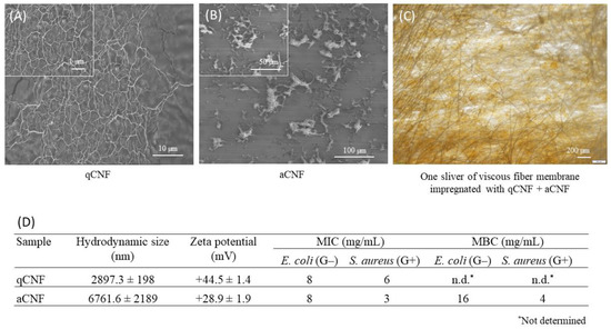 Cationised Fibre-Based Cellulose Multi-Layer Membranes for Sterile and ...
