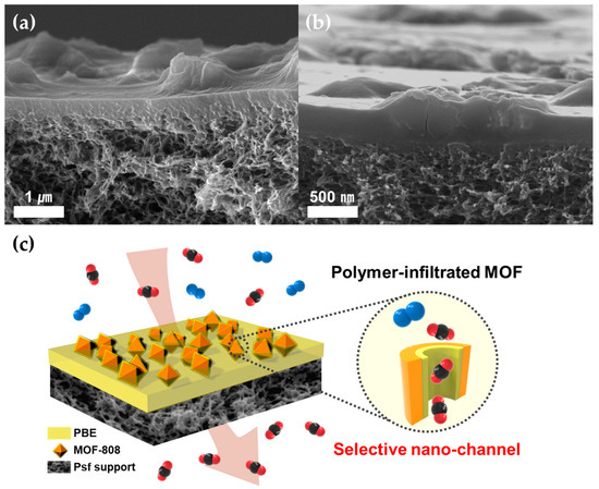 Polymer-Infiltrated Metal–Organic Frameworks for Thin-Film Composite Mixed-Matrix Membranes with ...