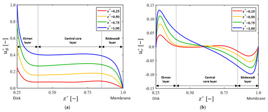 The Effect of the Rotating Disk Geometry on the Flow and Flux ...